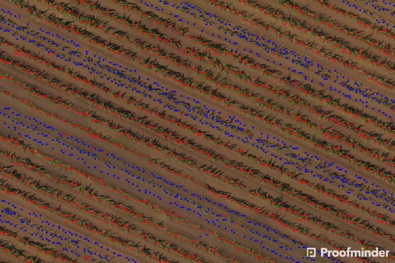 Plant stand count is an essential task in yield management. It allows ...