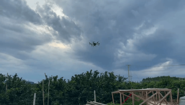 DJI-AGRAS-T30-y T20 reducen el uso de pesticidas en un 30% y mejoran la ...
