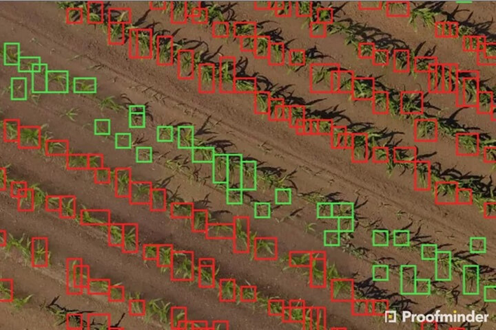 Plant stand count is an essential task in yield management. It allows ...