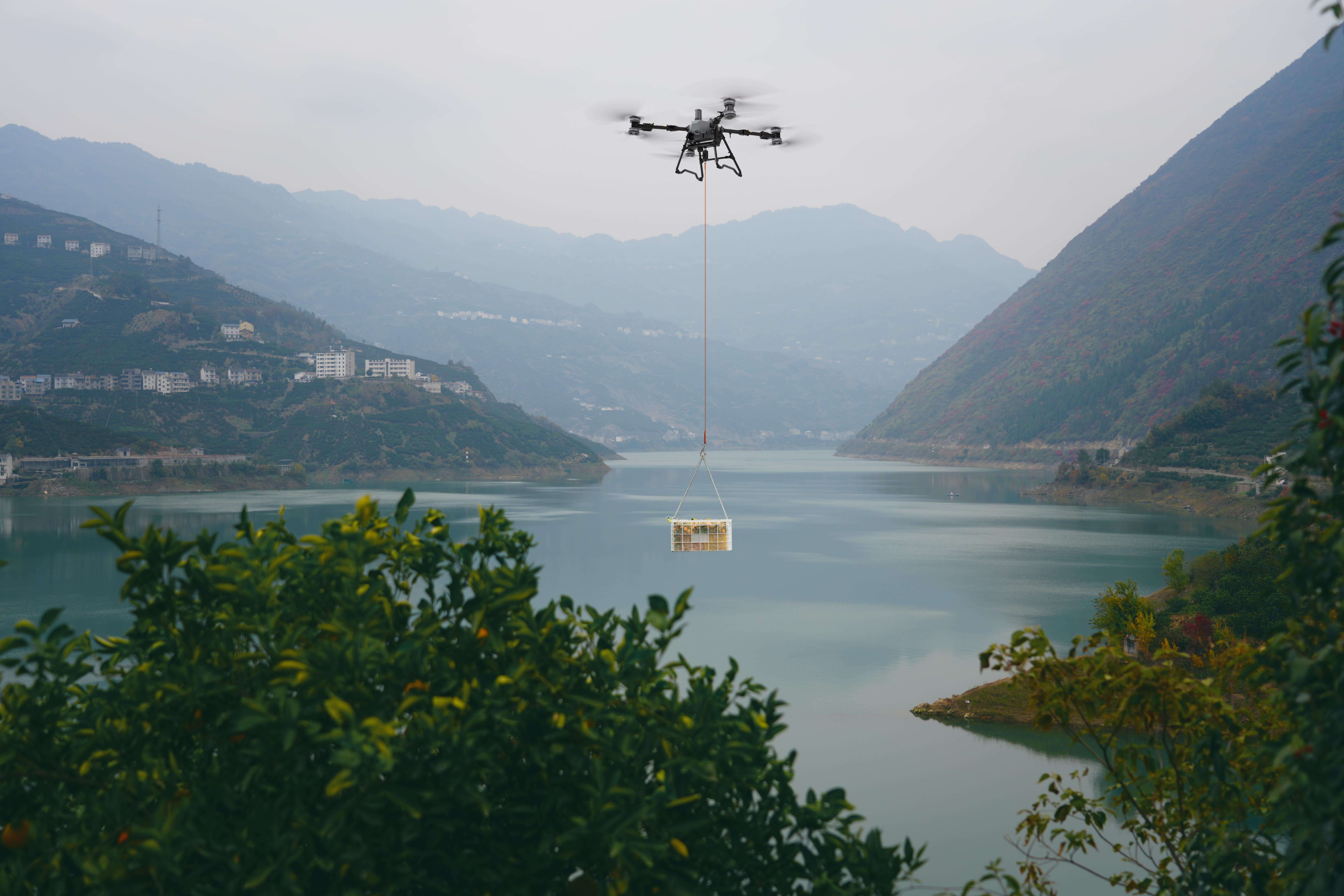 大疆农业十二年：旗舰新产品T100首秀助力秭归橙子“飞”出山