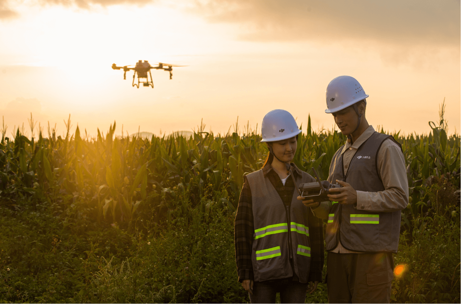 大疆农业发布T60、T25P 农业无人飞机，作业多场景， 场场都出色