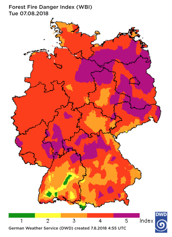 When Heat Sets Fields on Fire