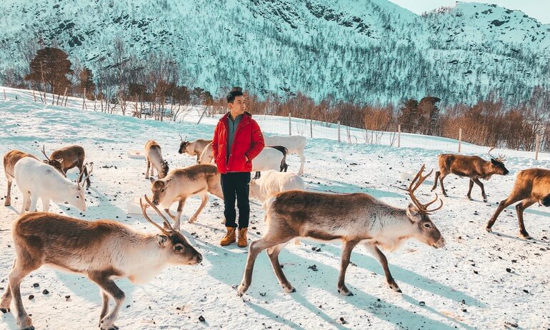 DJI Creator: Peter Yan - A Colorful Perspective